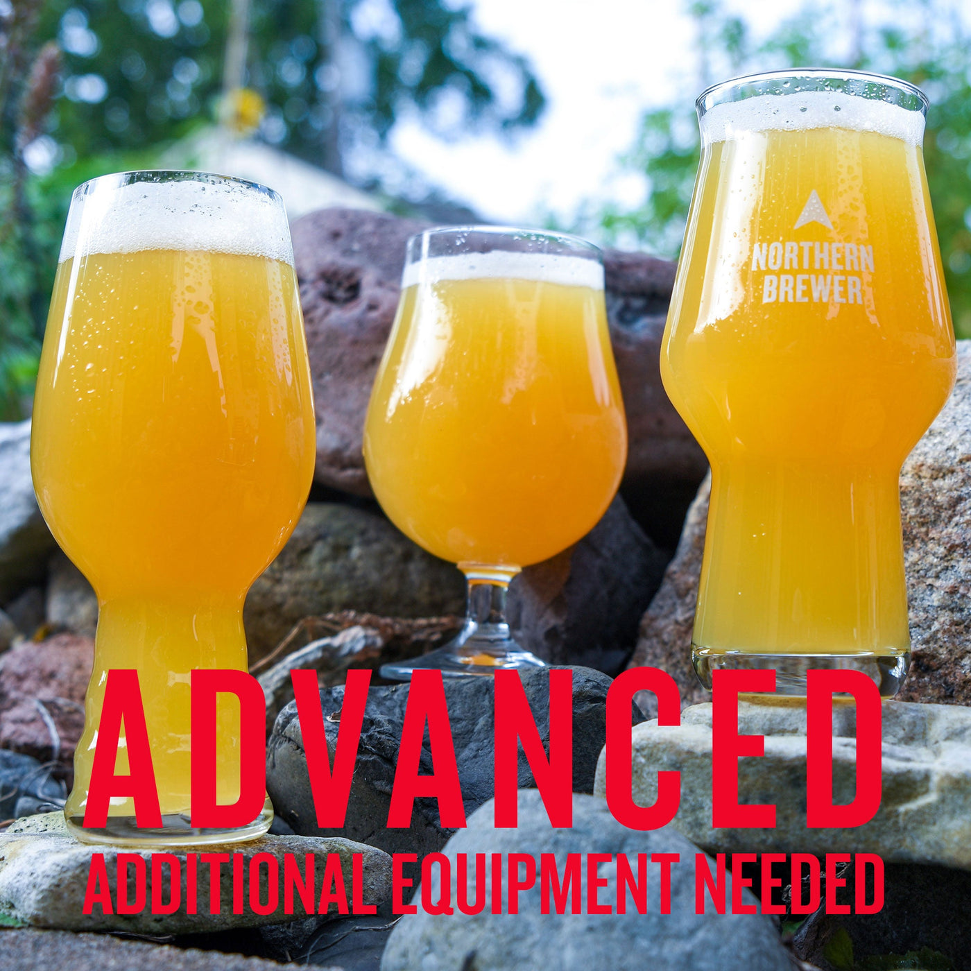 Haze For Days NEIPA All Grain Beer Variety Pack