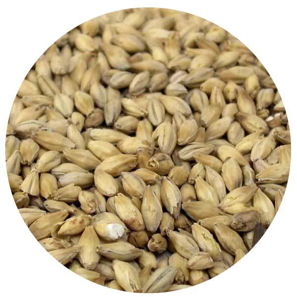 Weyermann® Floor Malted Bohemian Pilsner Malt