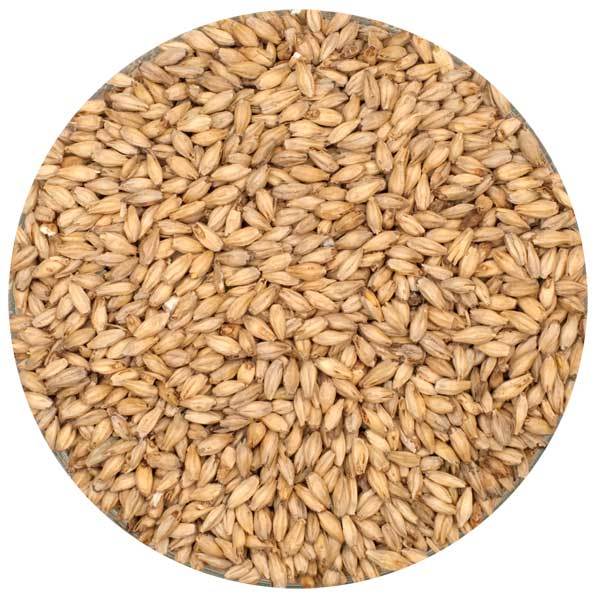 6-Row Malt - Rahr - 55 lb. Sack
