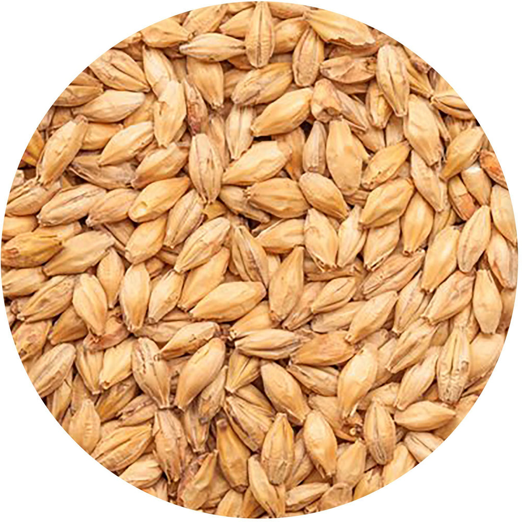 German Red X® Malt (Munich Malt) - Best Malz