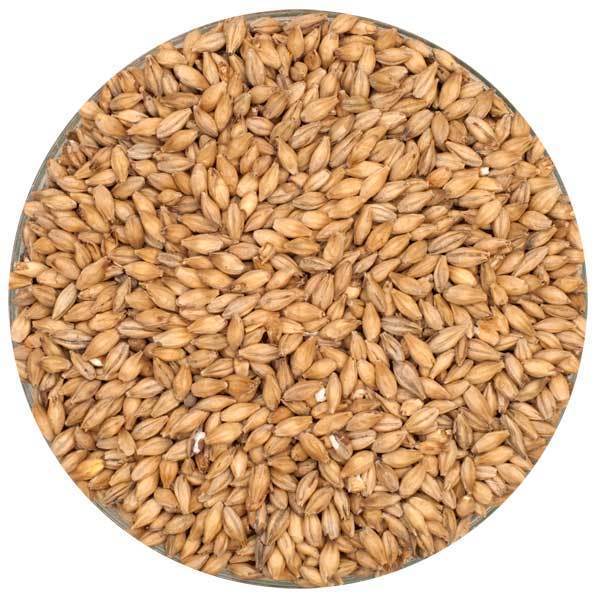 how to cook malt barley