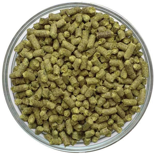 Galena Hops Pellets 1 oz