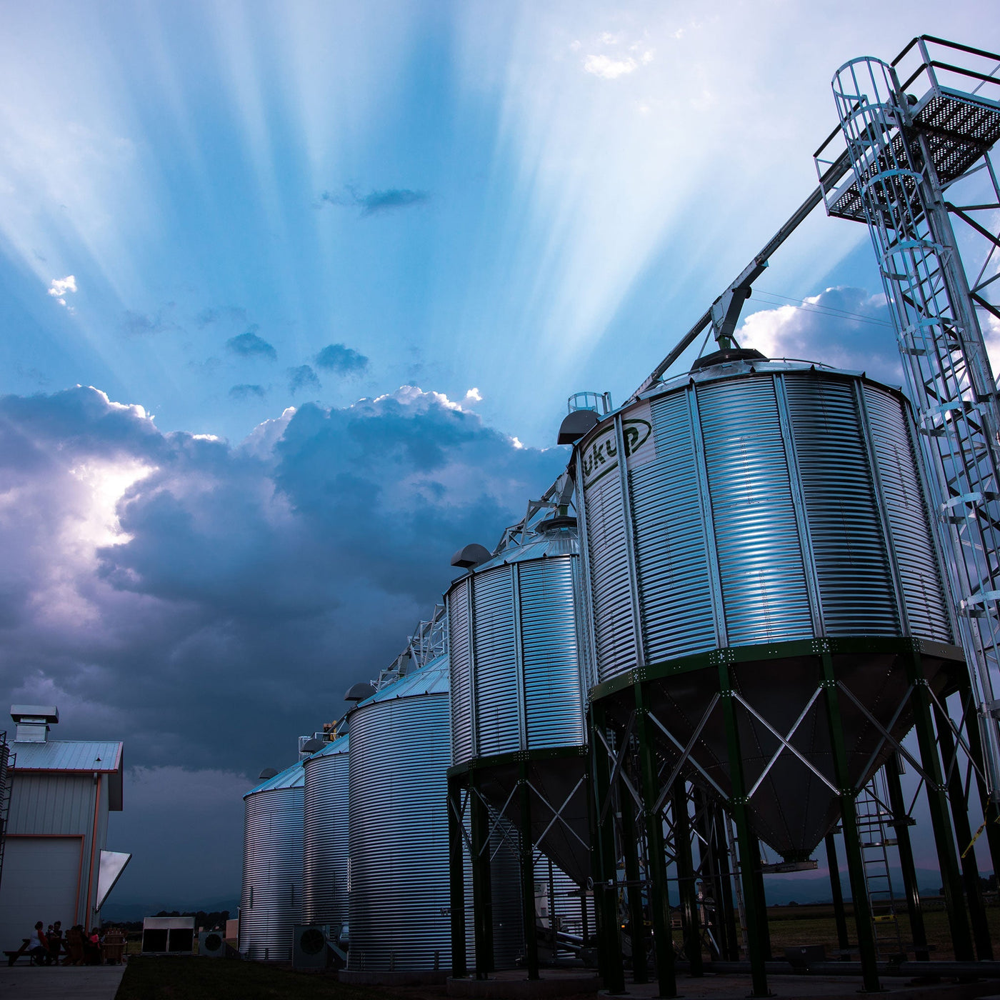 Genie Pale Malt - Root Shoot Malting