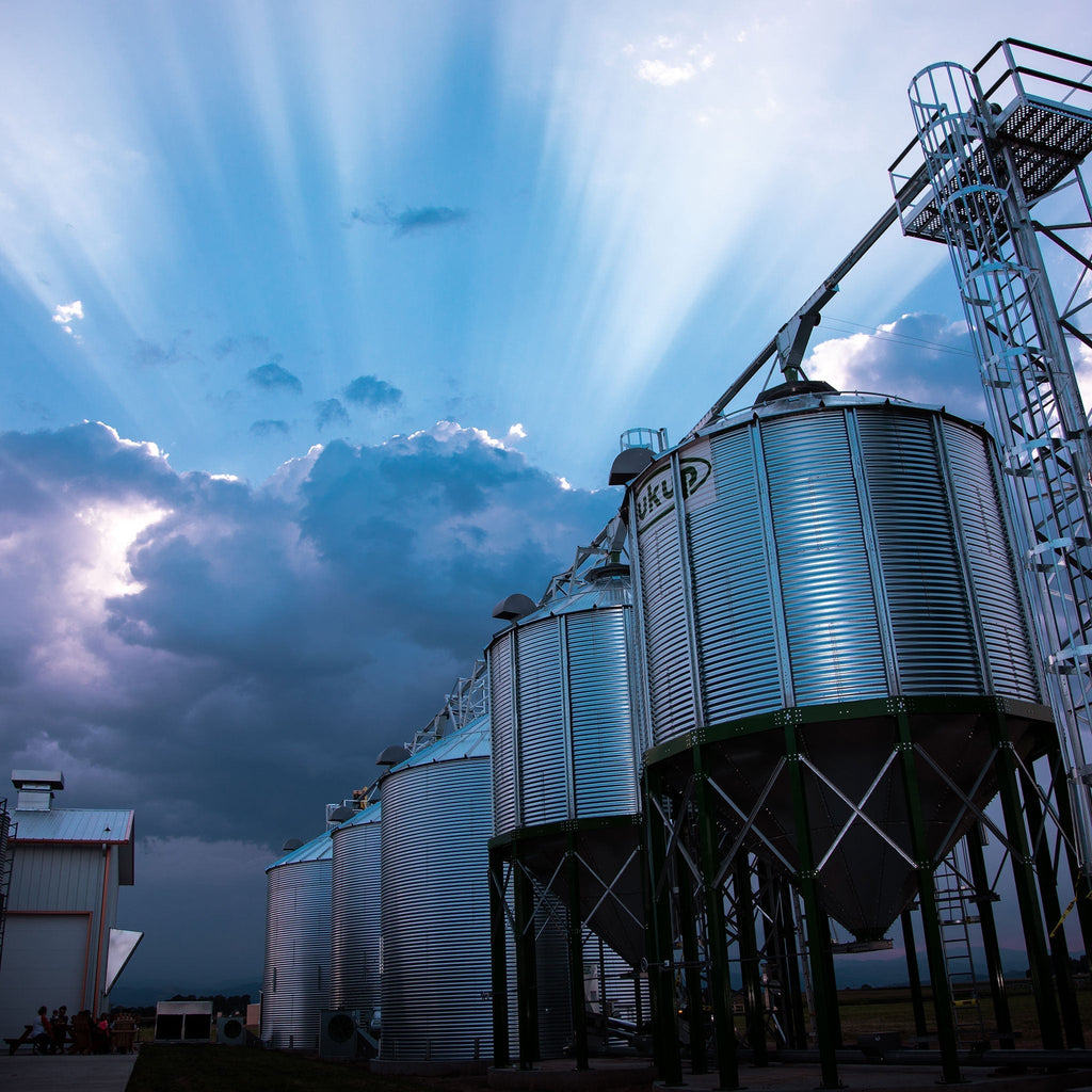 Genie Pale Malt - Root Shoot Malting - 50 lb. Sack