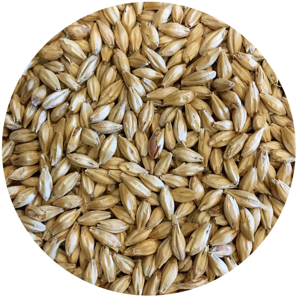 Pilsner Malt - Root Shoot Malting - 50 lb. Sack
